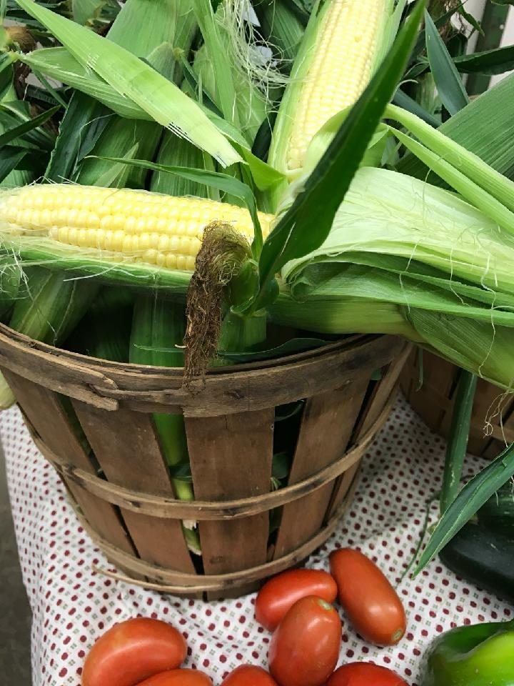 Best of Summer at the Farmer's Market - July 25th - Carroll County Ag ...