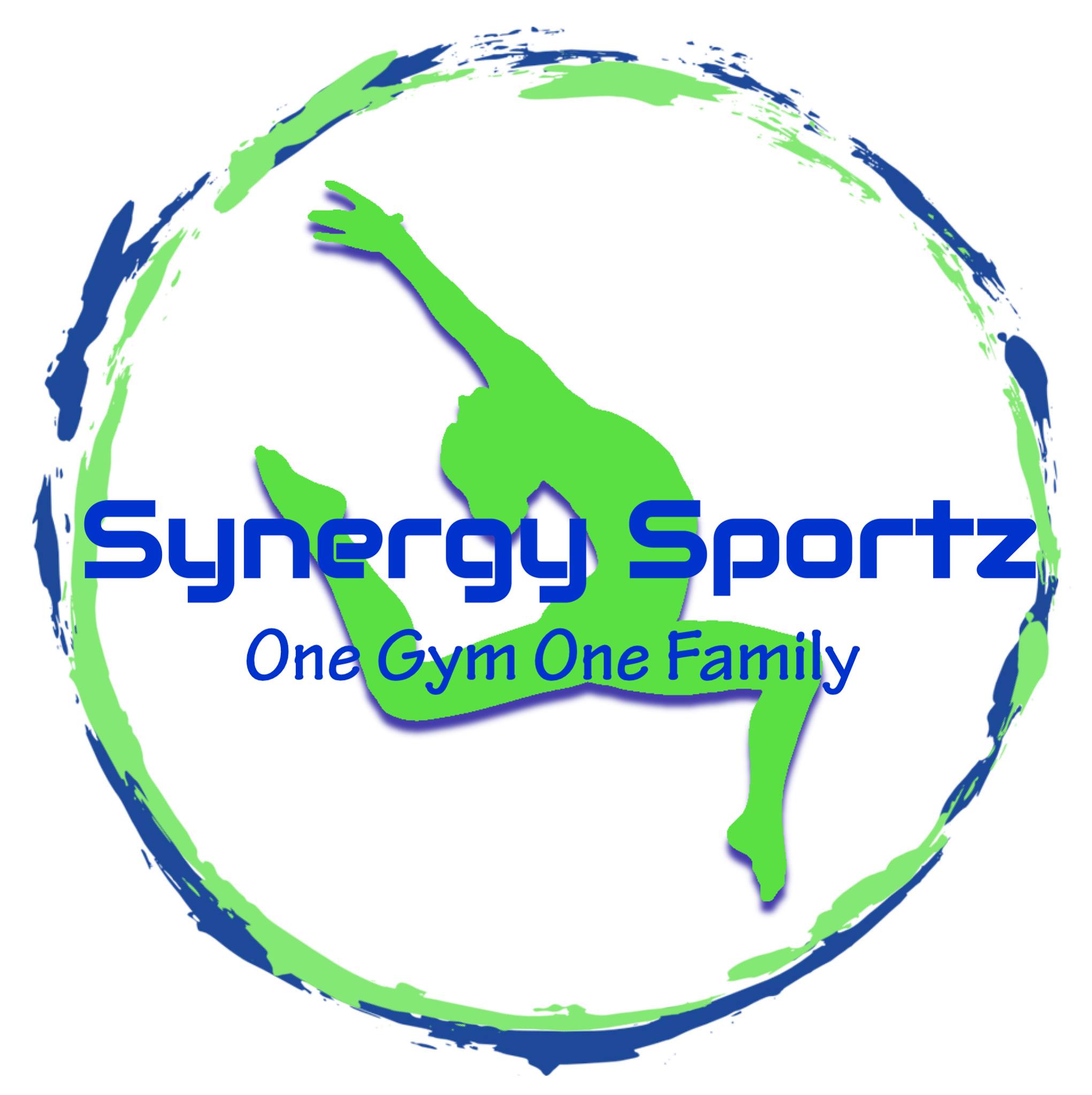 Synergy Sportz 9th Anti-Bullying Gymnastics Invitational - Jan. 11th ...