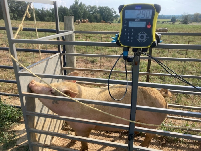 Event Calendar - Carroll County Ag Center